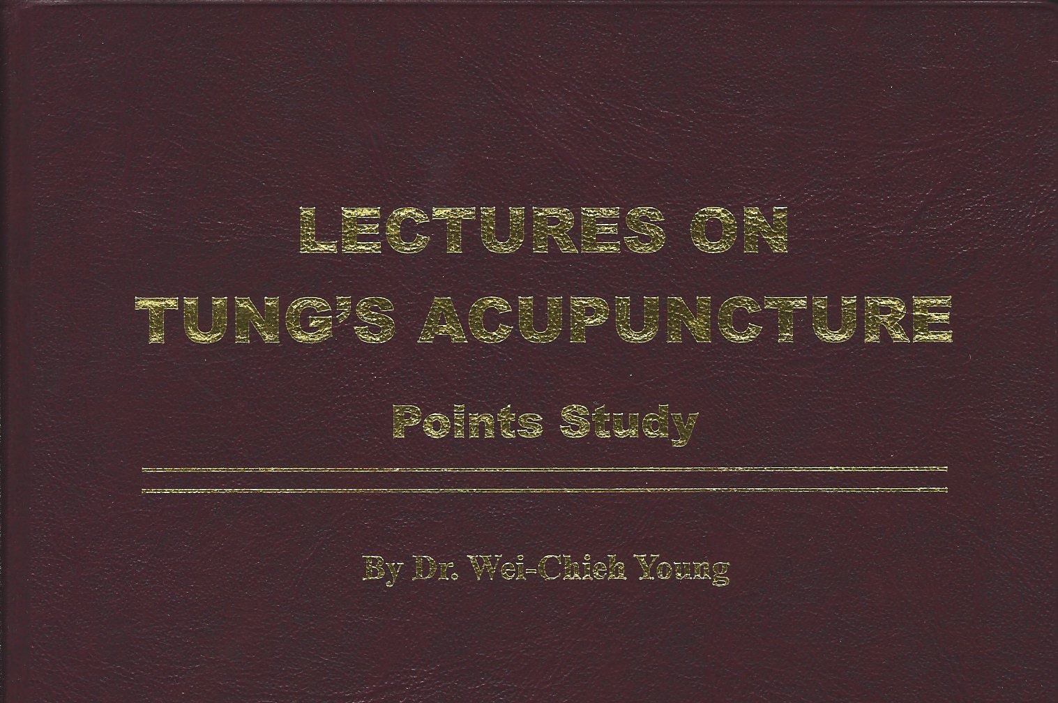 Master Tung´s Acupuncture - naturmed-Fachbuchblog