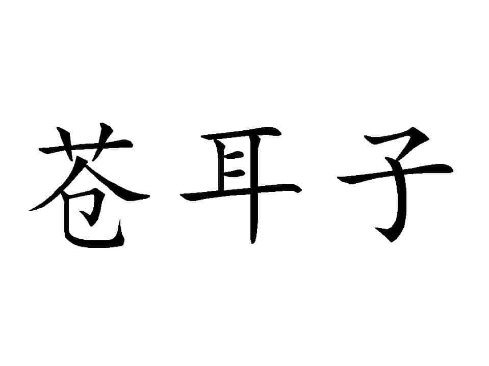 Fructus Xanthii, Cang Er Zi gegen Kopfschemrzen