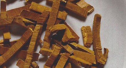 Cortex Phellodendri, Huang Bai gegen niedriges Fieber