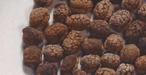 Fructus Amomi - naturmed.de