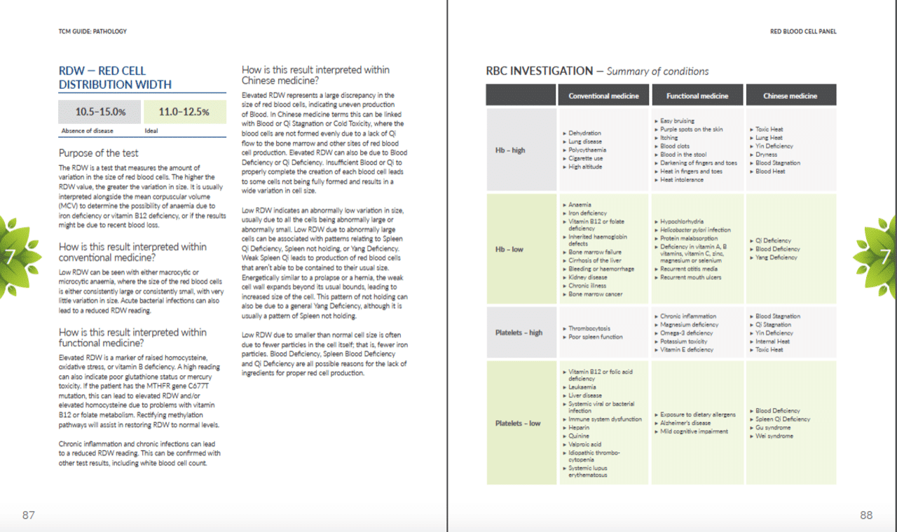 Integrative TCM Guide Pathology - Claire Pyers